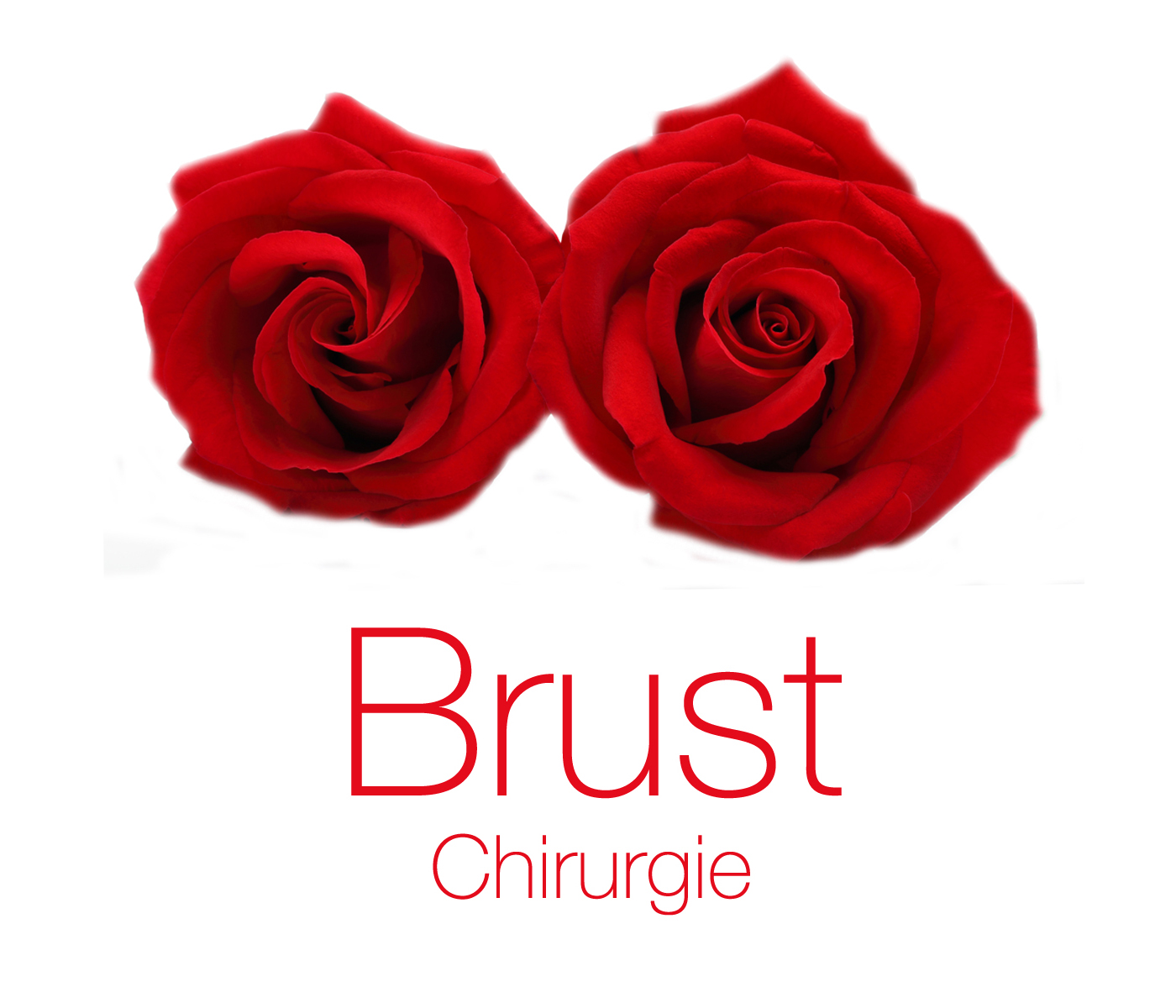 Plastische Chirurgie Schinner - Ihre Privatpraxis am Venushof